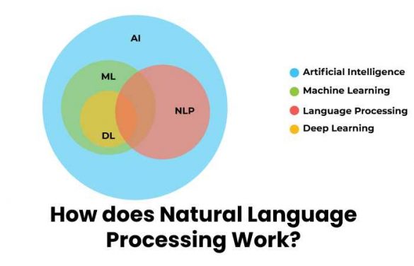 What is Natural Language Processing? Definition, Work, Important, And
